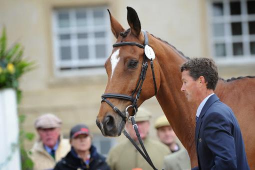 Pascal Leroy raconte son exploit (1ère partie) · France Complet