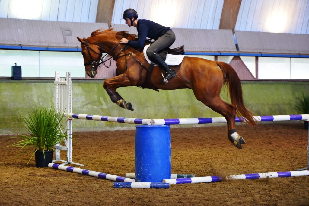 10 astuces pour faire vos obstacles de cross « maison » · France Complet